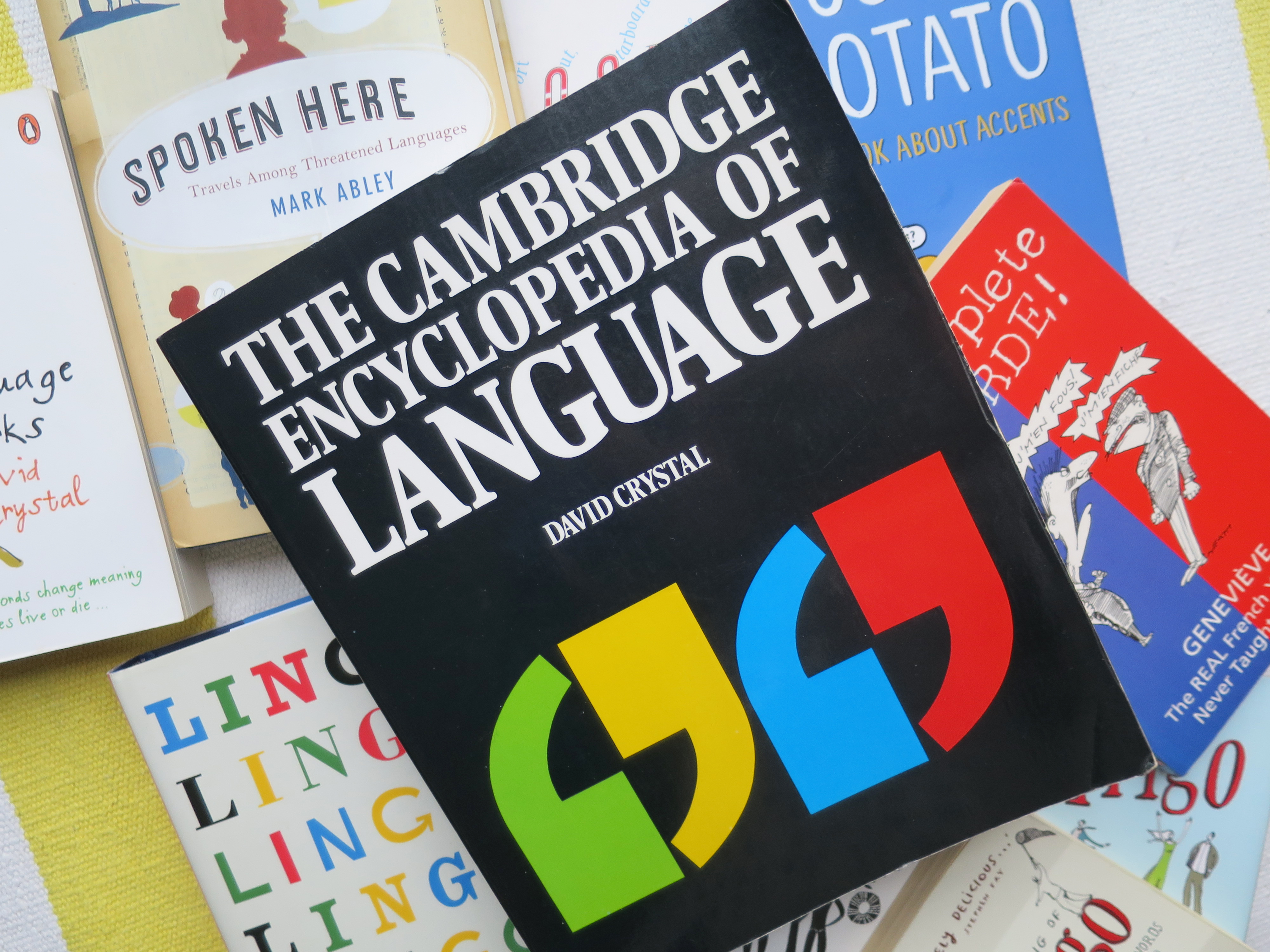 10 Inspiring Books About Language and Linguistics 1 - Lindsay Does ...